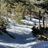 Tallman Ranch via Bridge Creek Trailhead, Colorado - 459 Reviews, Map ...