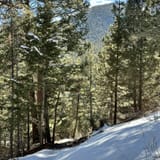 Tallman Ranch via Bridge Creek Trailhead, Colorado - 459 Reviews, Map ...