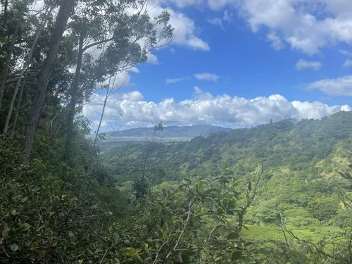 Best Hikes and Trails in Pearl City | AllTrails