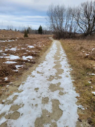 Best Hikes and Trails in Stayner | AllTrails