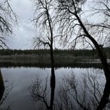 Tradition Lake Loop Trail, Washington - 1,565 Reviews, Map | AllTrails