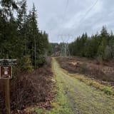 Tradition Lake Loop Trail, Washington - 1,511 Reviews, Map | AllTrails