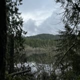 Tradition Lake Loop Trail, Washington - 1,565 Reviews, Map | AllTrails