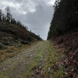 Tradition Lake Loop Trail, Washington - 1,565 Reviews, Map | AllTrails