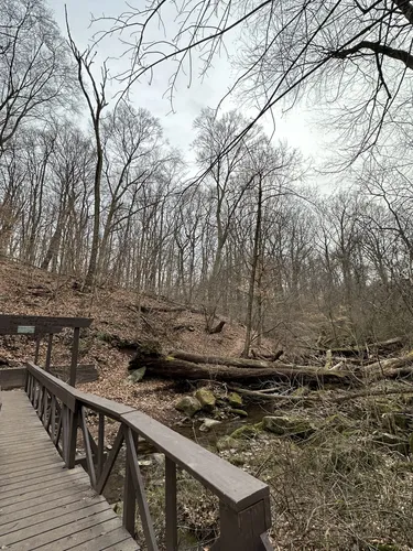 Best Easy Trails in Tyler State Park | AllTrails