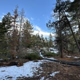 Cal-Neva Loop via Van Sickle Trail, Nevada - 954 Reviews, Map | AllTrails
