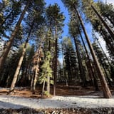 Cal-Neva Loop via Van Sickle Trail, Nevada - 954 Reviews, Map | AllTrails