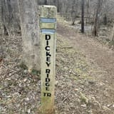 Dickey Ridge Trail, Virginia - 383 Reviews, Map | AllTrails