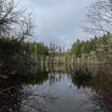 Tradition Lake Loop Trail, Washington - 1,511 Reviews, Map | AllTrails