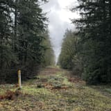 Tradition Lake Loop Trail, Washington - 1,500 Reviews, Map | AllTrails
