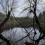Tradition Lake Loop Trail, Washington - 1,511 Reviews, Map | AllTrails