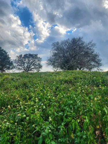 Best Hikes and Trails in Dyer Park | AllTrails