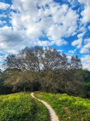 Best Hikes and Trails in Dyer Park | AllTrails