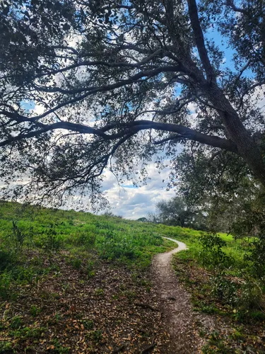 Best Hikes and Trails in Dyer Park | AllTrails