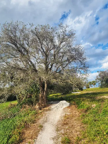 Best Hikes and Trails in Dyer Park | AllTrails
