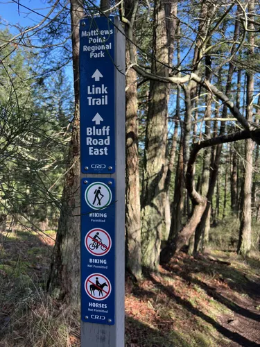 Best Hikes and Trails in Matthews Point Regional Park | AllTrails
