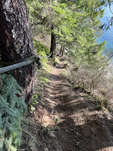 Best Hikes and Trails in Matthews Point Regional Park | AllTrails