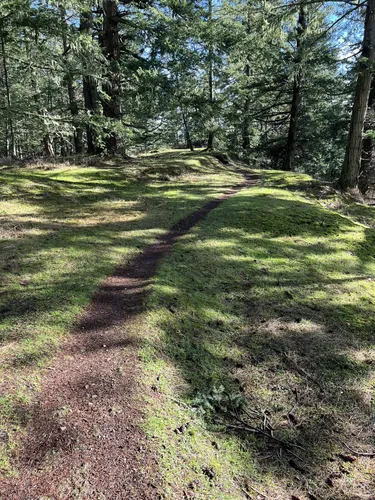 Best Hikes and Trails in Matthews Point Regional Park | AllTrails