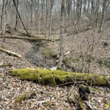 Cincinnati Nature Center Loop, Ohio - 1,248 Reviews, Map | AllTrails