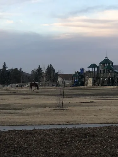 Best Hikes and Trails in Damonte Ranch Park | AllTrails