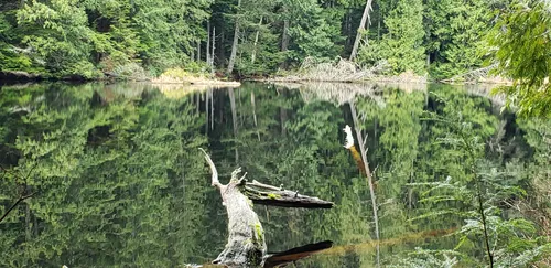 Best Hikes and Trails in Lake Padden Park | AllTrails