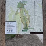 Runyon Canyon Trail, California - 7,731 Reviews, Map | AllTrails