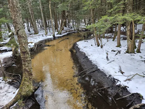 Best Hikes and Trails in Allan and Virginia McCune Nature Preserve ...