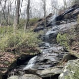 Hidden Falls Trail, South Carolina - 709 Reviews, Map | AllTrails