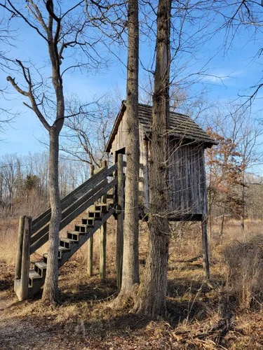 Best Forest Trails in Gray Summit | AllTrails