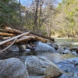 Big Sur River Gorge Trail, California - 656 Reviews, Map | AllTrails