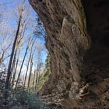 Hazard Cave and Natural Bridge Trail, Tennessee - 367 Reviews, Map ...