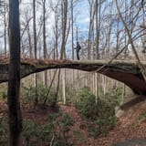 Hazard Cave and Natural Bridge Trail, Tennessee - 367 Reviews, Map ...
