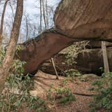 Hazard Cave and Natural Bridge Trail, Tennessee - 367 Reviews, Map ...