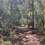 Poona Lake Trail, Queensland, Australia - 54 Reviews, Map | AllTrails