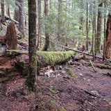 Spider Lake Trail, Washington - 240 Reviews, Map | AllTrails