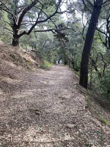 Best Hikes and Trails in Roberts Regional Recreation Area | AllTrails