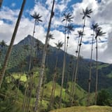 Cocora Valley Loop, Quindío, Colombia - 201 Reviews, Map | AllTrails