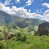 Cocora Valley Loop, Quindío, Colombia - 201 Reviews, Map | AllTrails