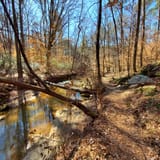 Cochran Mill Loop 1 and 2 (Orange), Georgia - 798 Reviews, Map | AllTrails