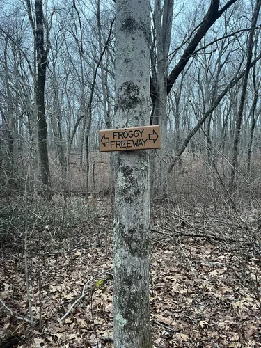 Best Hikes and Trails in Webb Mountain Discovery Zone | AllTrails