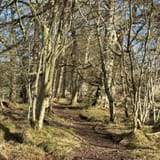 Kincardine O’Neil and Dess Waterfall Circular, Aberdeenshire, Scotland ...