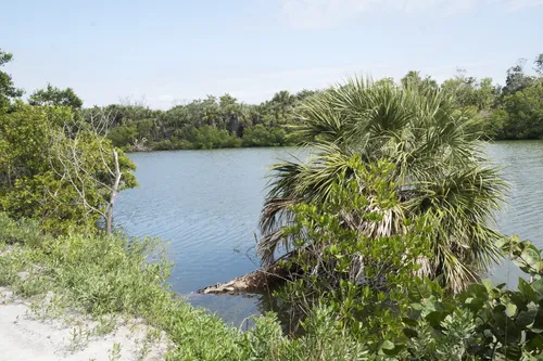 Best Hikes and Trails in Lovers Key State Park | AllTrails