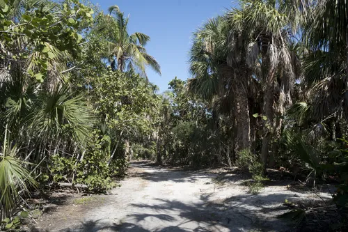 Best Hikes and Trails in Lovers Key State Park | AllTrails