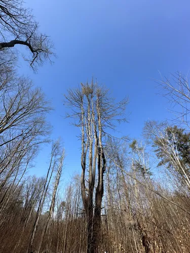 Best Hikes and Trails in Muckross State Park | AllTrails