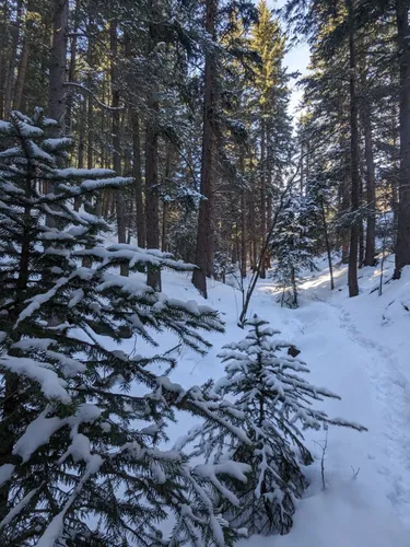 Best Hikes and Trails in Ken Caryl Ranch Foundation Open Space | AllTrails