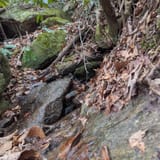 Chestnut Ridge Heritage Preserve Trail, South Carolina - 1,412 Reviews ...