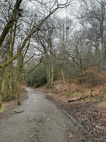 Best Hikes and Trails in Wrekin Hill Fort | AllTrails