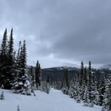Bald Hills Loop, Alberta, Canada - 1,240 Reviews, Map | AllTrails