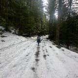 Natural Rock Arch Trail, Oregon - 219 Reviews, Map | AllTrails