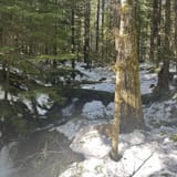 Natural Rock Arch Trail, Oregon - 219 Reviews, Map | AllTrails